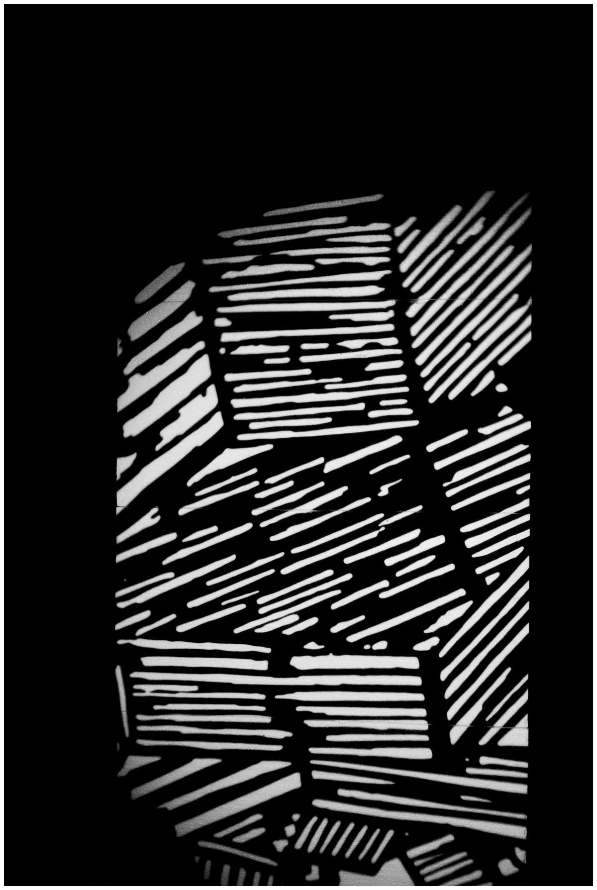 Zebra@Studios » PADOS.DE Fotografie